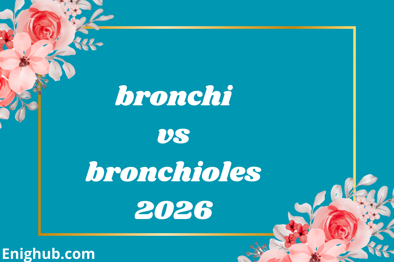 Bronchi vs Bronchioles The Simple, Clear Comparison You Actually Need ...